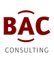 BAC-Consulting GmbH - Change Management